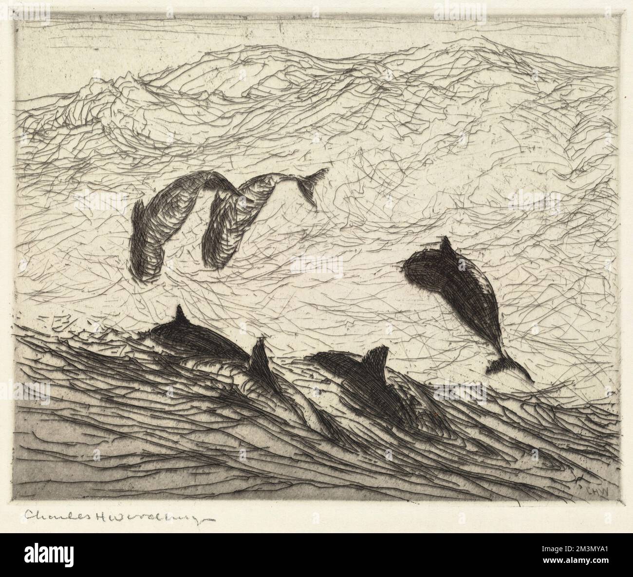 Porpoises in the Caribbean , Dolphins, Seas. Charles H. Woodbury (1864 ...
