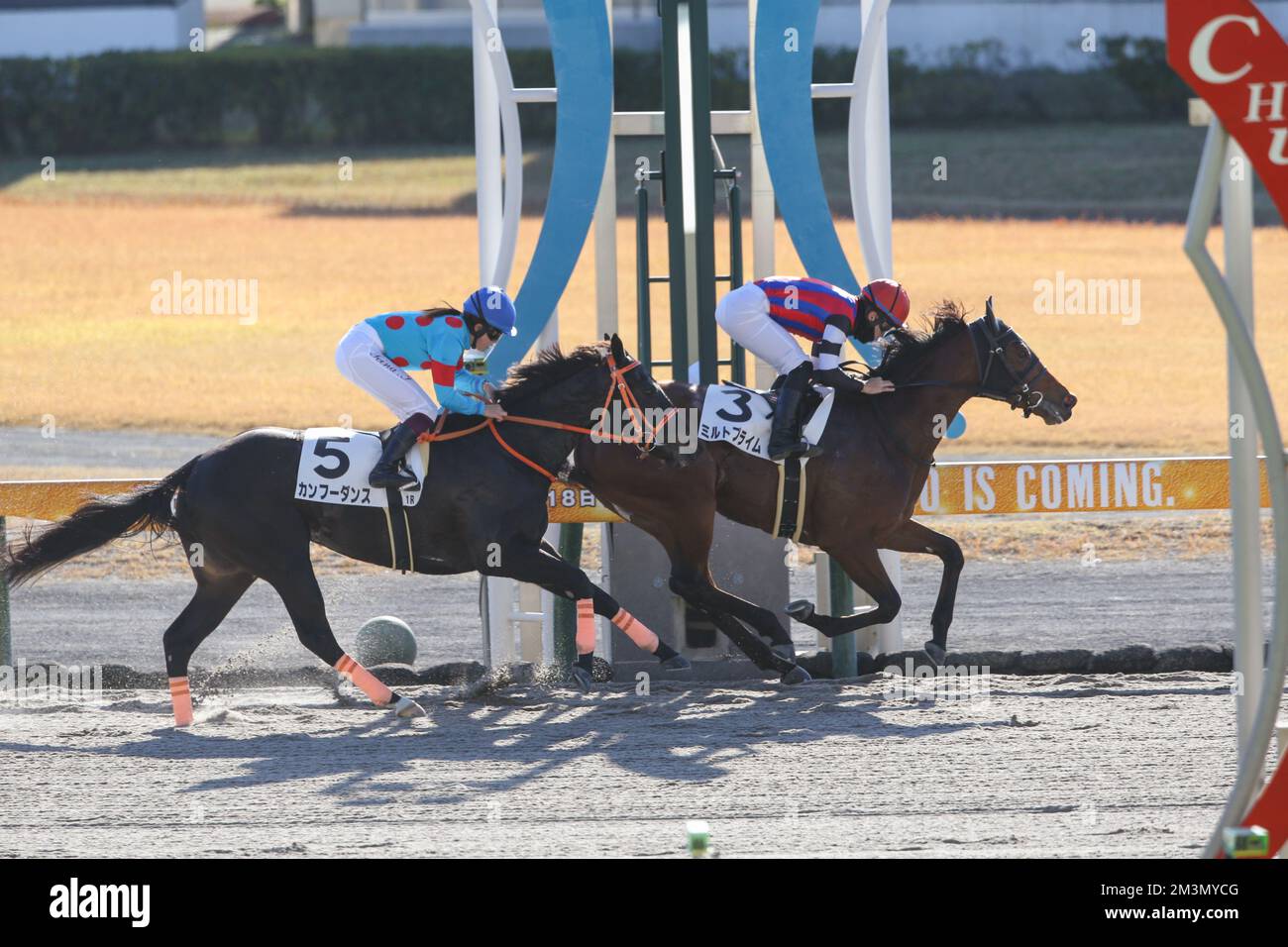 Mild Prime and Atsuya Nishimura win the Chukyo 1R at Chukyo Racecourse ...