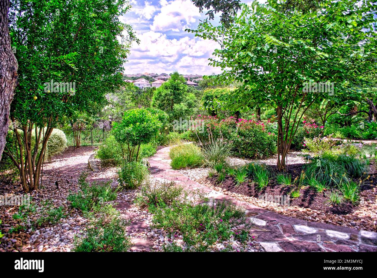 Scenic green park lush bushes hi-res stock photography and images - Alamy