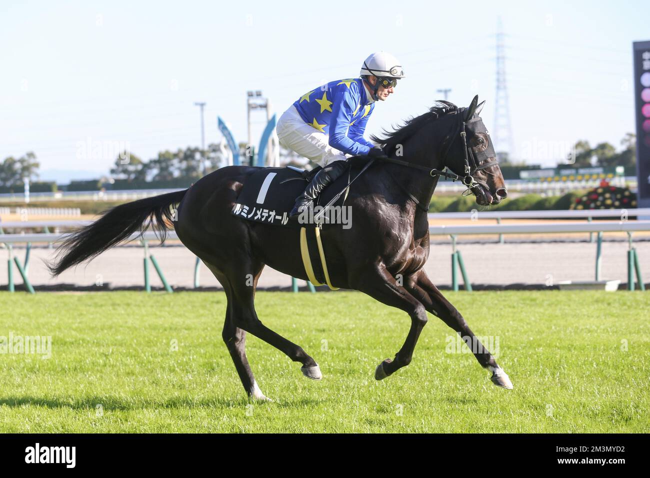 Rumino Meteore and Mirco Demuro before the Tsuwabuki Sho at Chukyo ...
