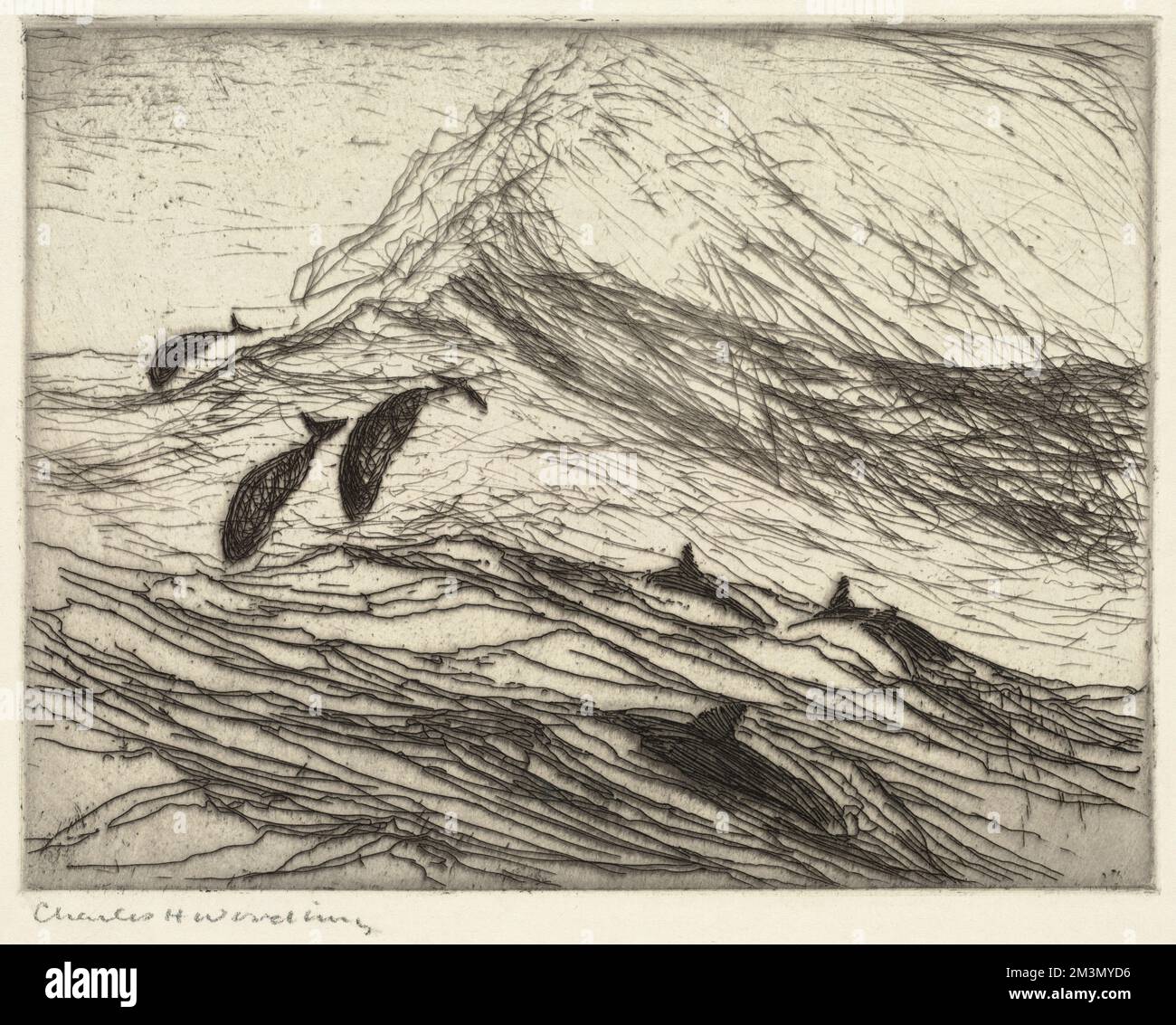 Porpoises with breaking wave , Dolphins, Seas. Charles H. Woodbury ...