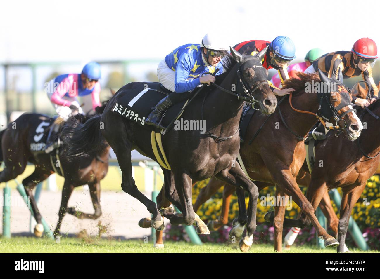 Rumino Meteore and Mirco Demuro win the Tsuwabuki Sho at Chukyo ...