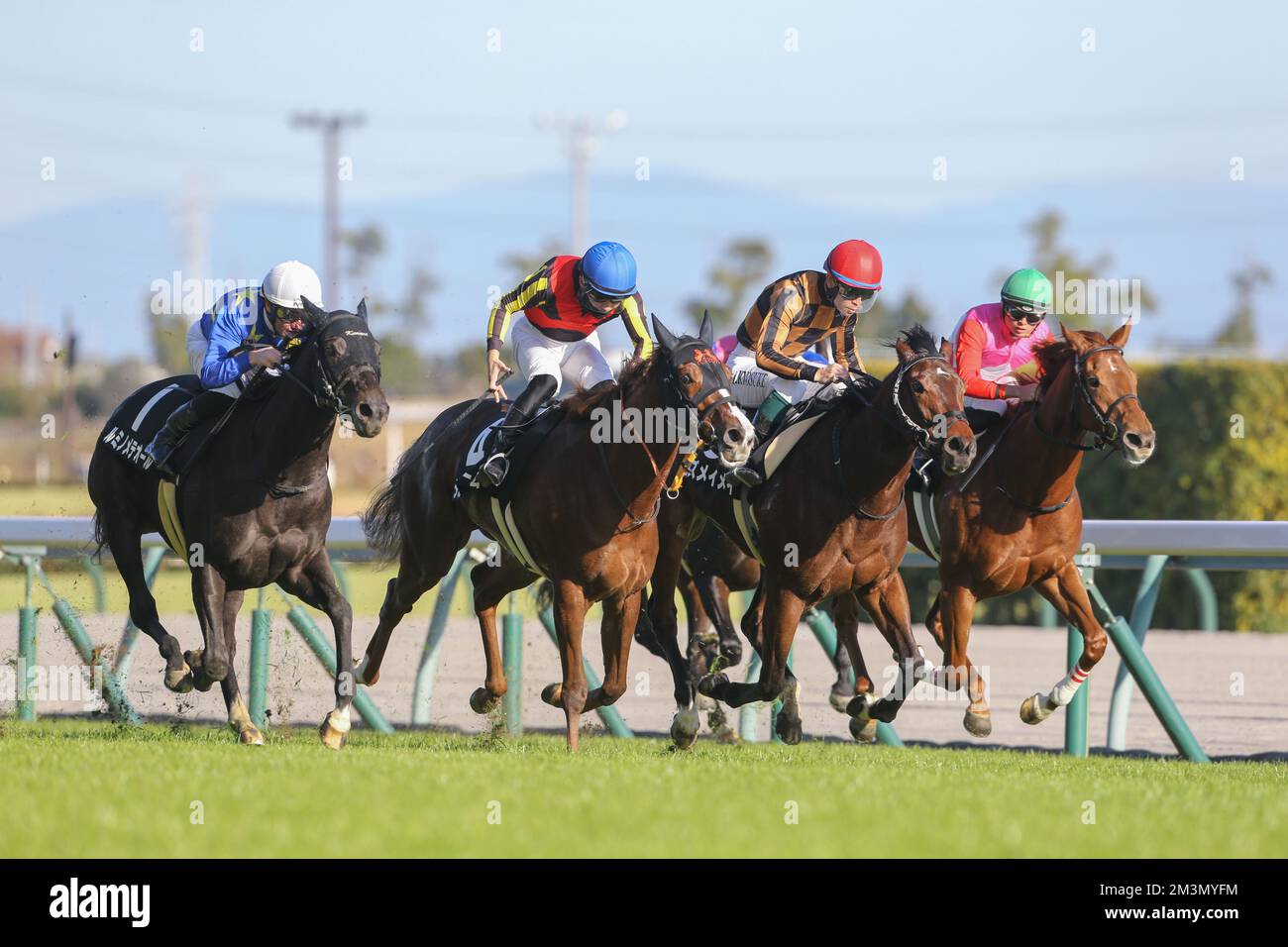 Rumino Meteore and Mirco Demuro win the Tsuwabuki Sho at Chukyo ...