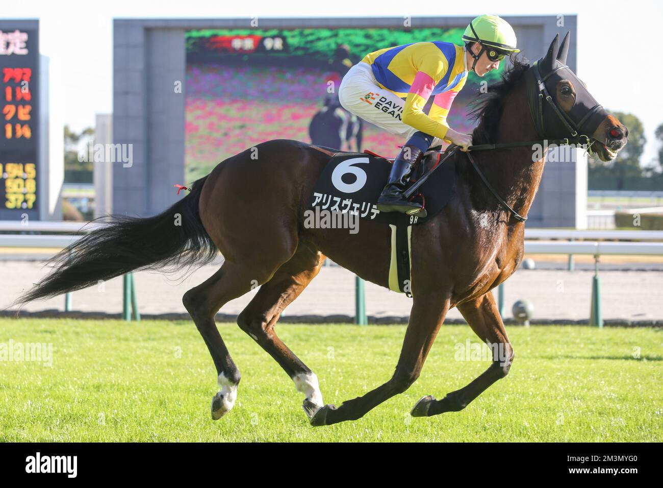 Alice Verite and David Egan before the Tsuwabuki Sho at Chukyo ...