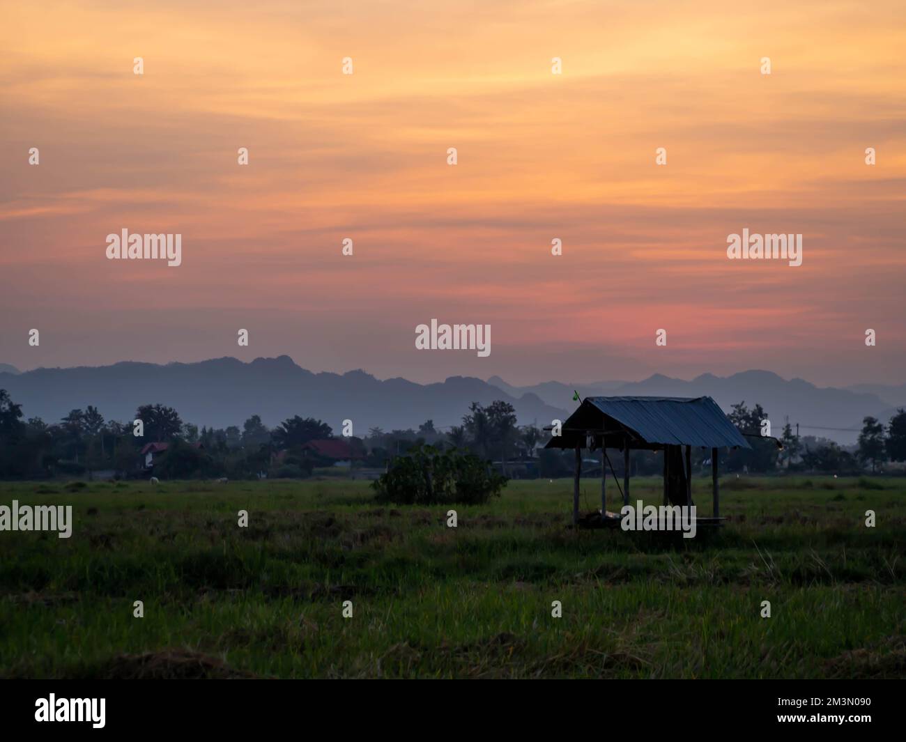 Thailand style hut with rice fields in the evening Stock Photo - Alamy