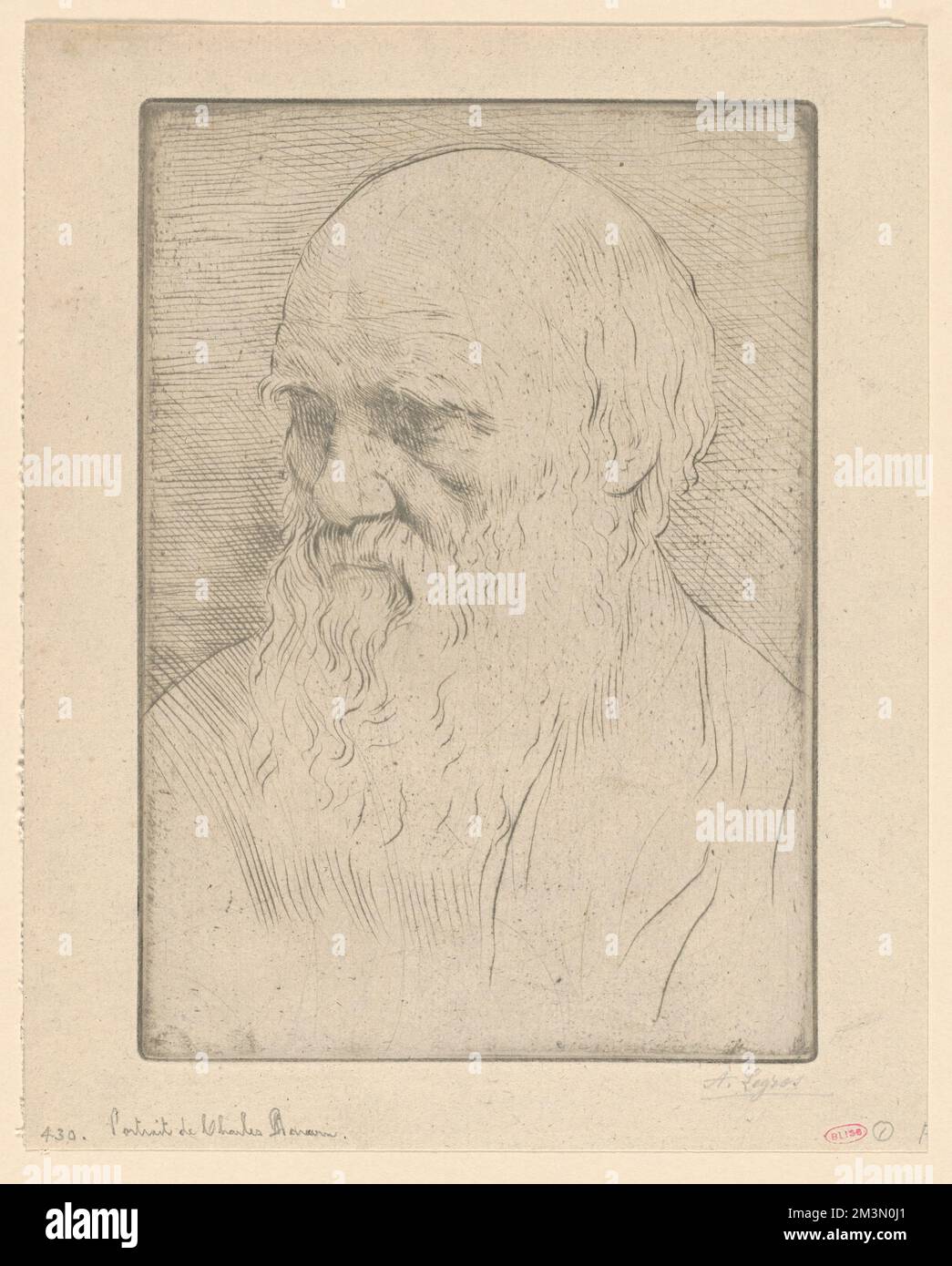 Portrait de Charles Darwin , Scientists, Darwin, Charles, 1809-1882 ...