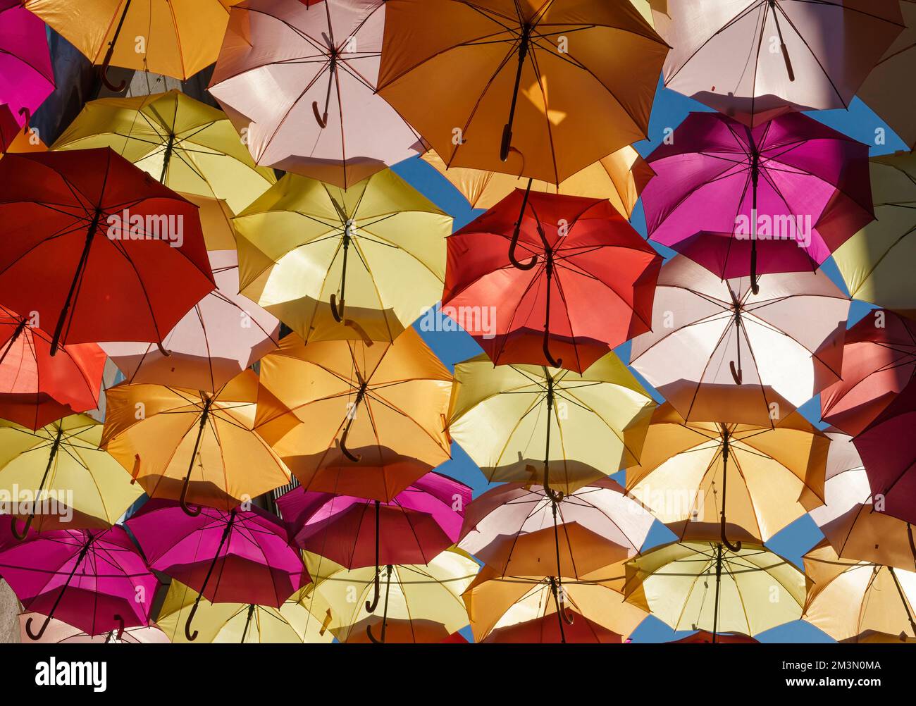 Backlit colorful umbrellas hanging from the sky decorating a street ...