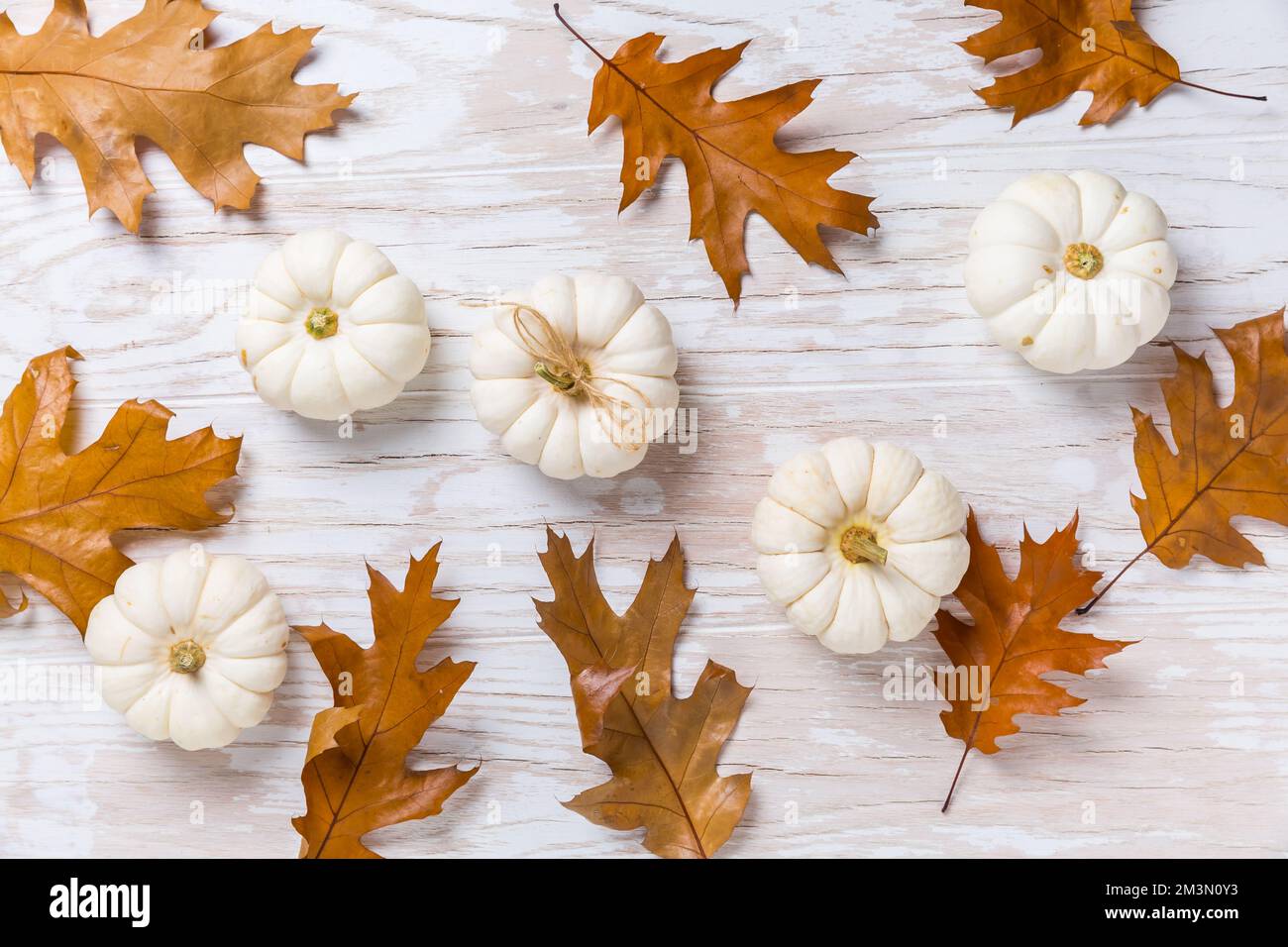 Assortment of pumpkins with autumn leaves on wooden background ...