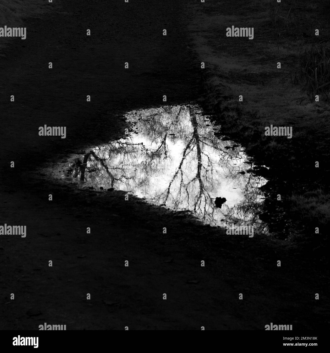 In cannock Black and White Stock Photos & Images - Alamy