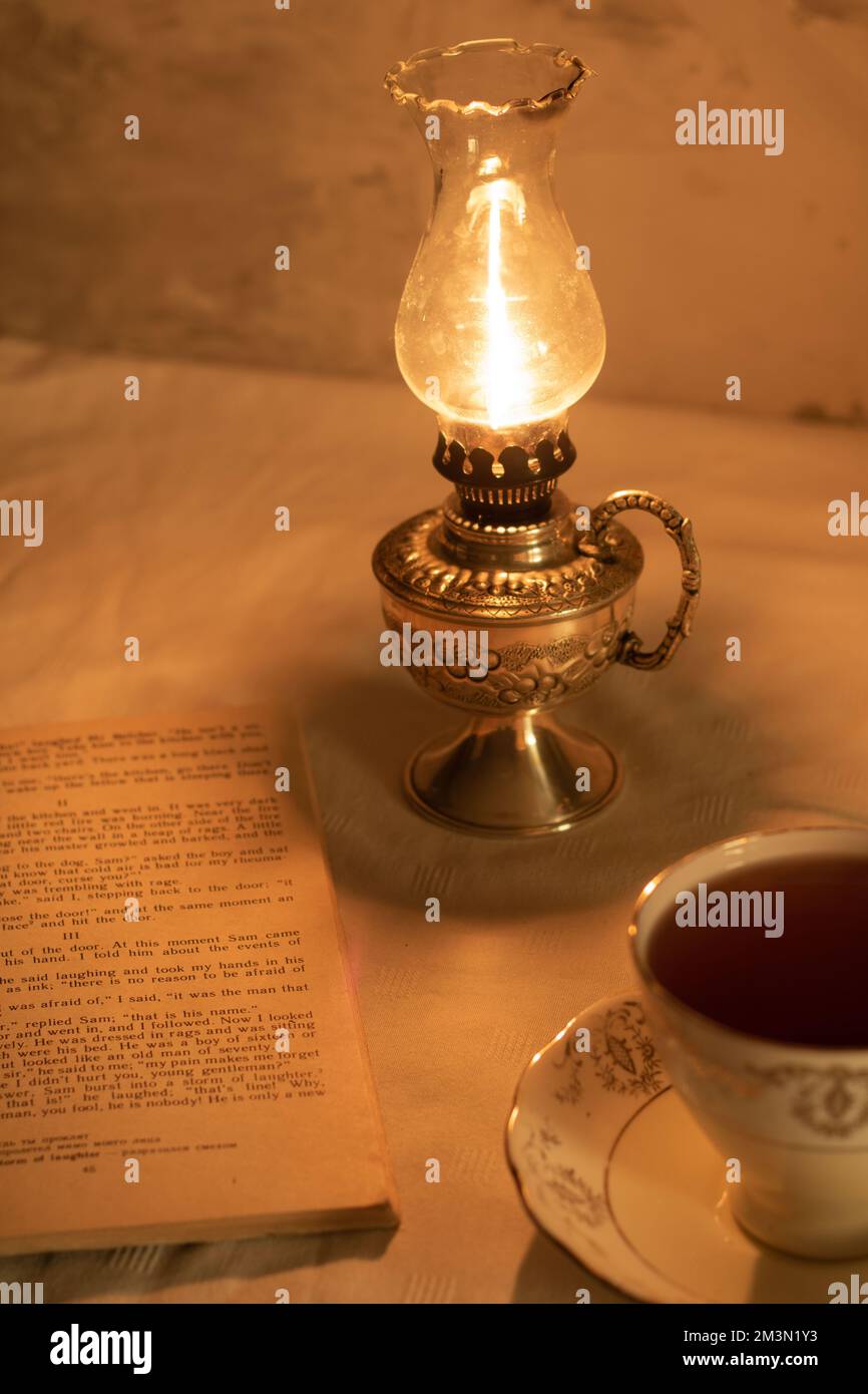 Philosoraptor Oil Lamp