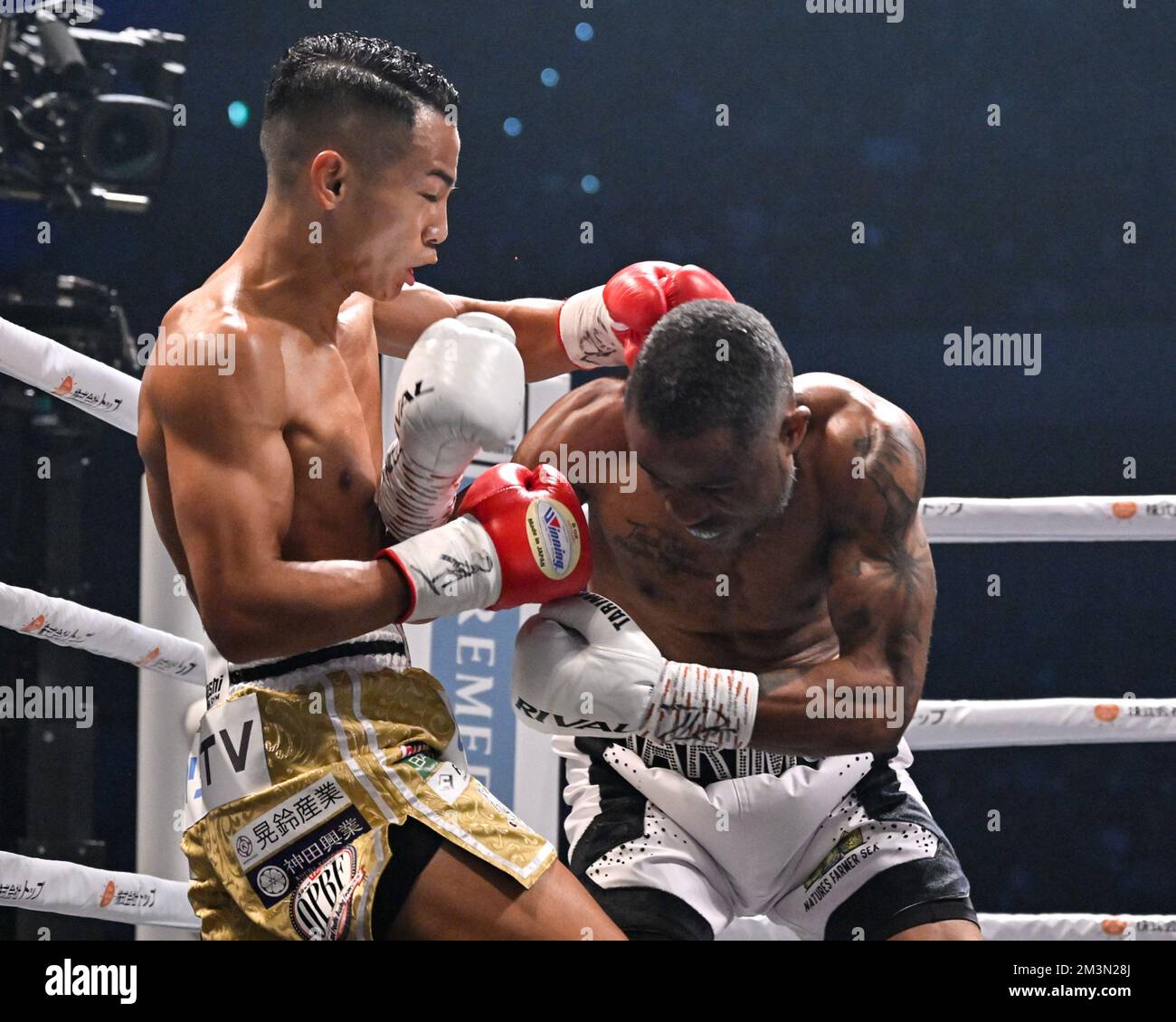 Tokyo, Japan. 13th Dec, 2022. Champion Yoshiki Takei (red gloves) of ...