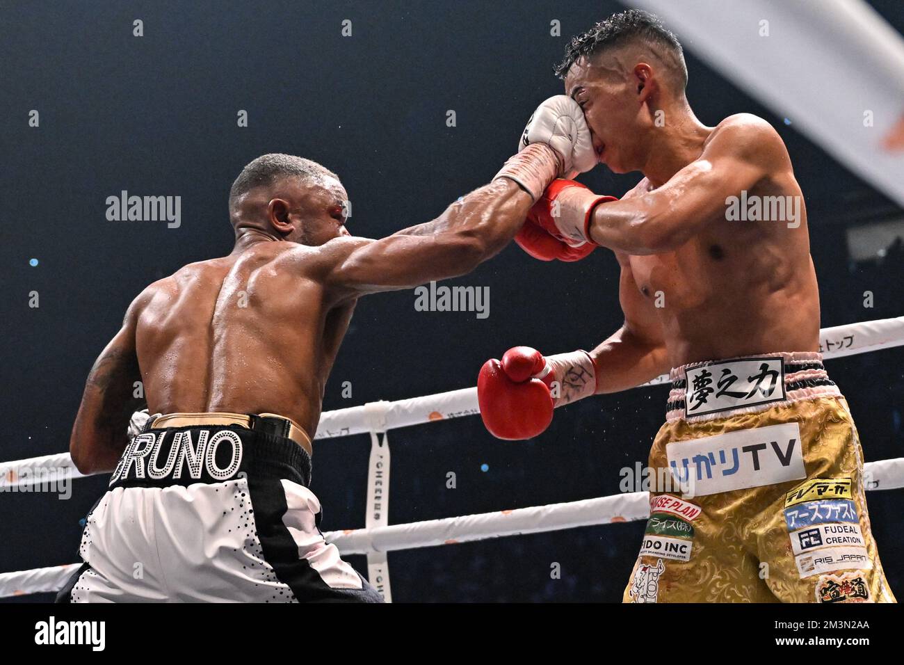 Tokyo, Japan. 13th Dec, 2022. Champion Yoshiki Takei (red gloves) of ...