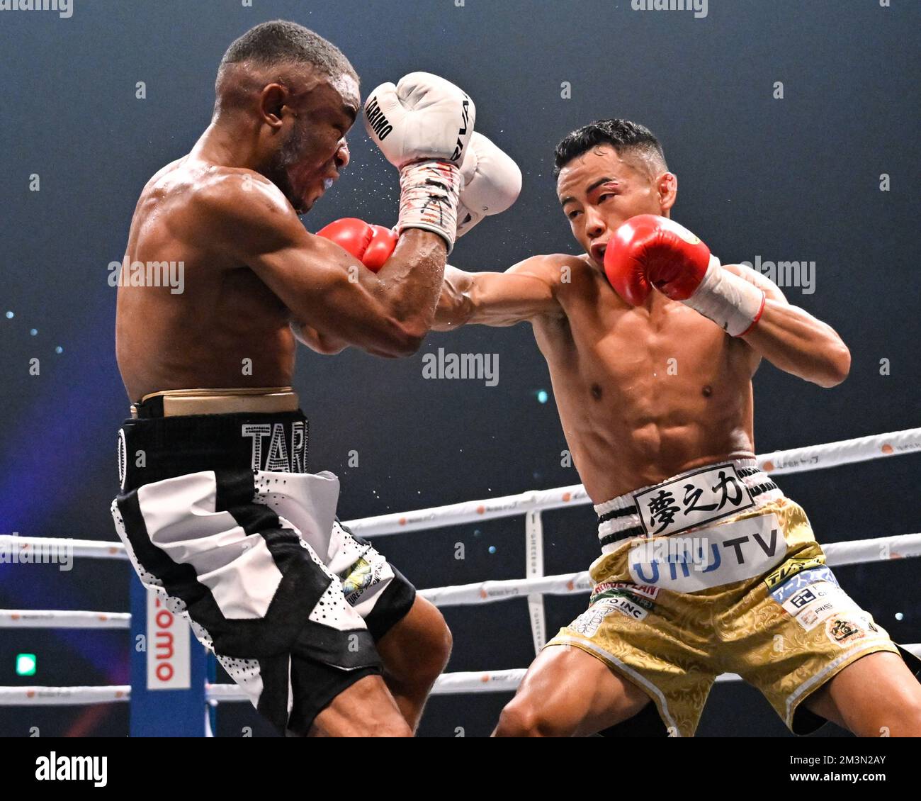 Tokyo, Japan. 13th Dec, 2022. Champion Yoshiki Takei (red gloves) of ...