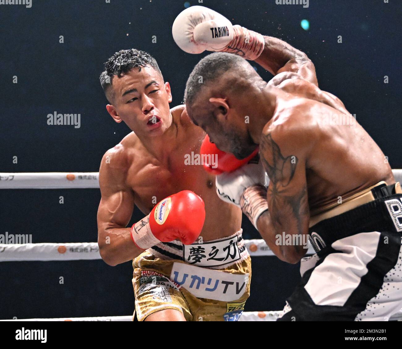 Tokyo, Japan. 13th Dec, 2022. Champion Yoshiki Takei (red gloves) of ...
