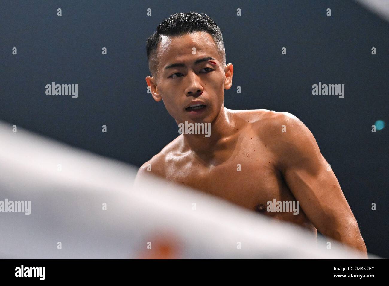 Tokyo, Japan. 13th Dec, 2022. Champion Yoshiki Takei competes during ...