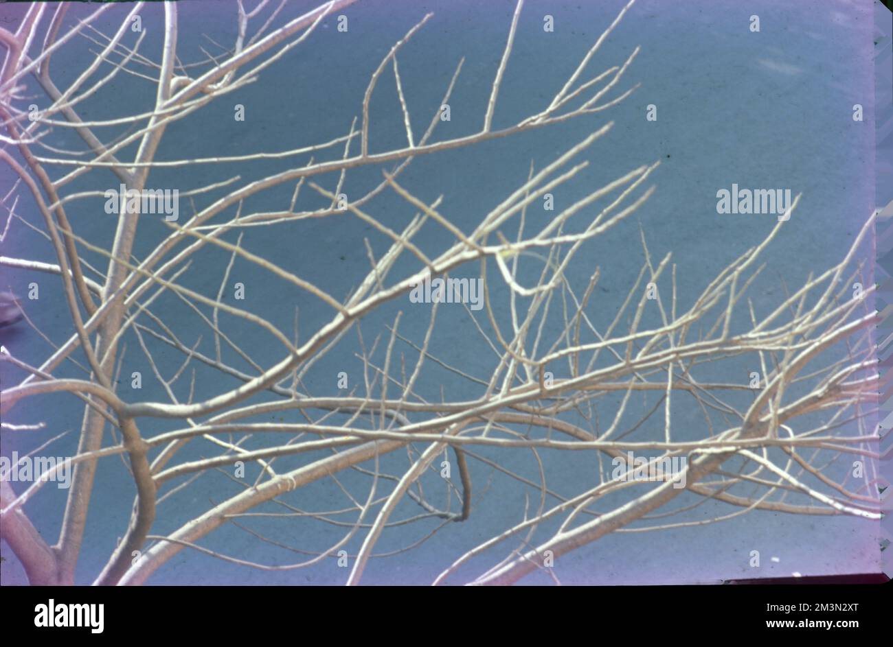 Autumn, also known as fall in American English and Canadian English, is ...