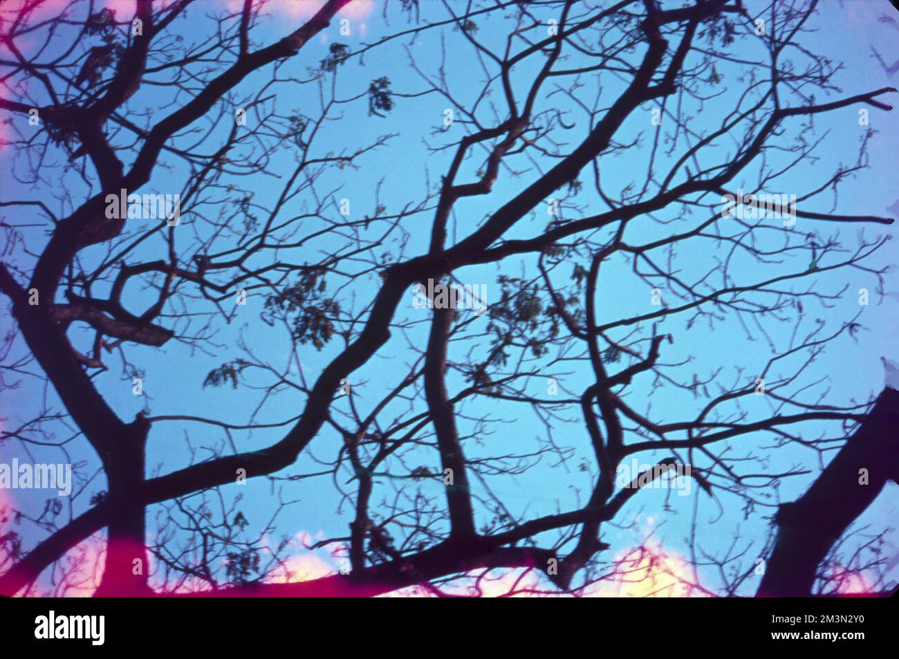 Autumn, also known as fall in American English and Canadian English, is ...