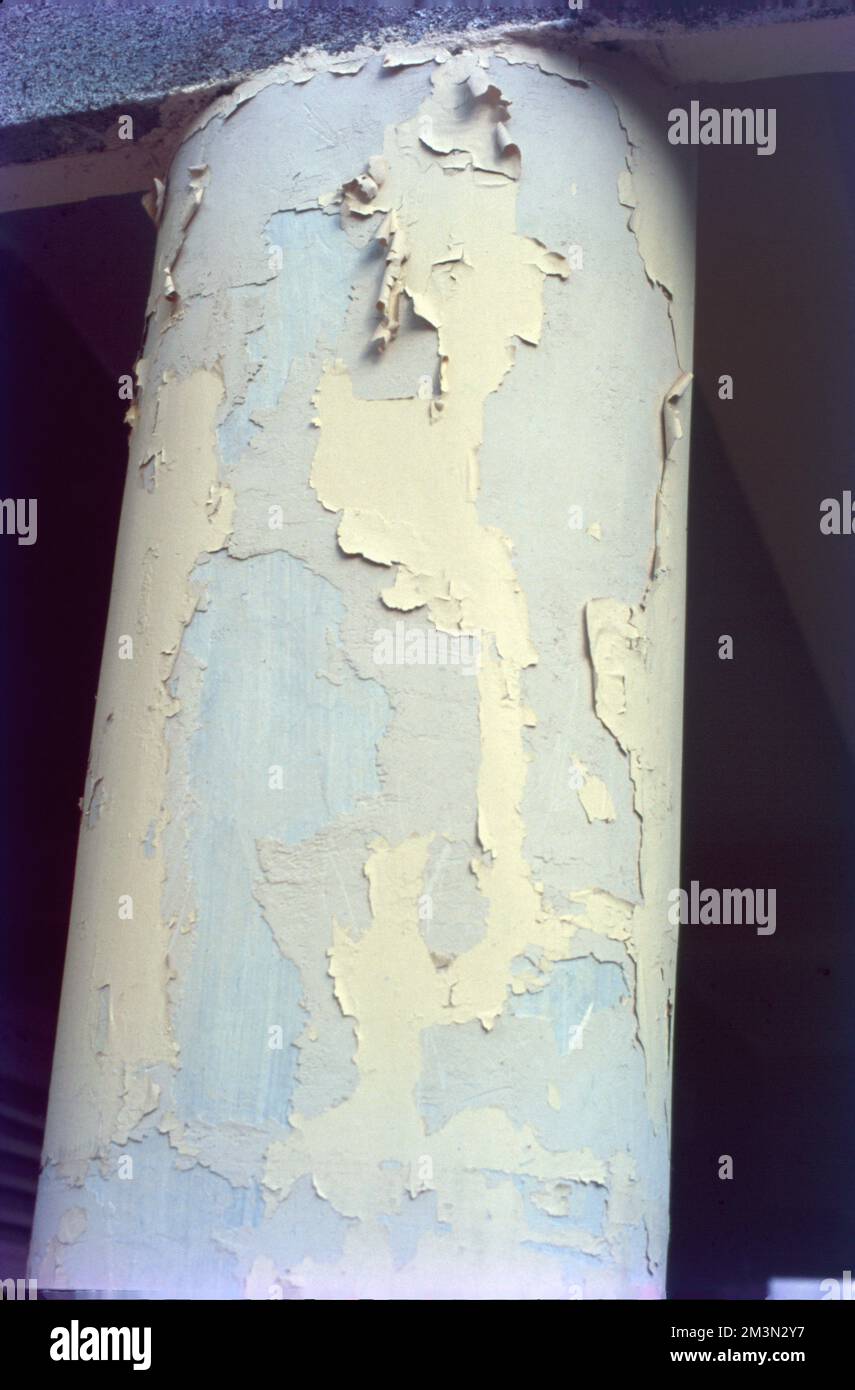 It is the primary cause as it penetrates through the different coats of ...