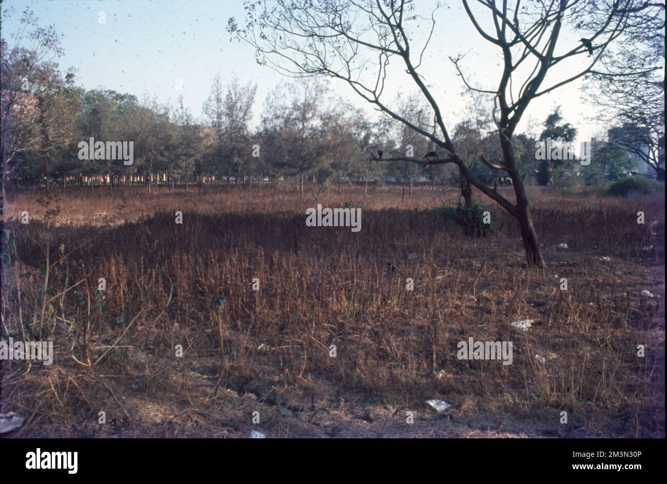 Ecologically unstable hi-res stock photography and images - Alamy