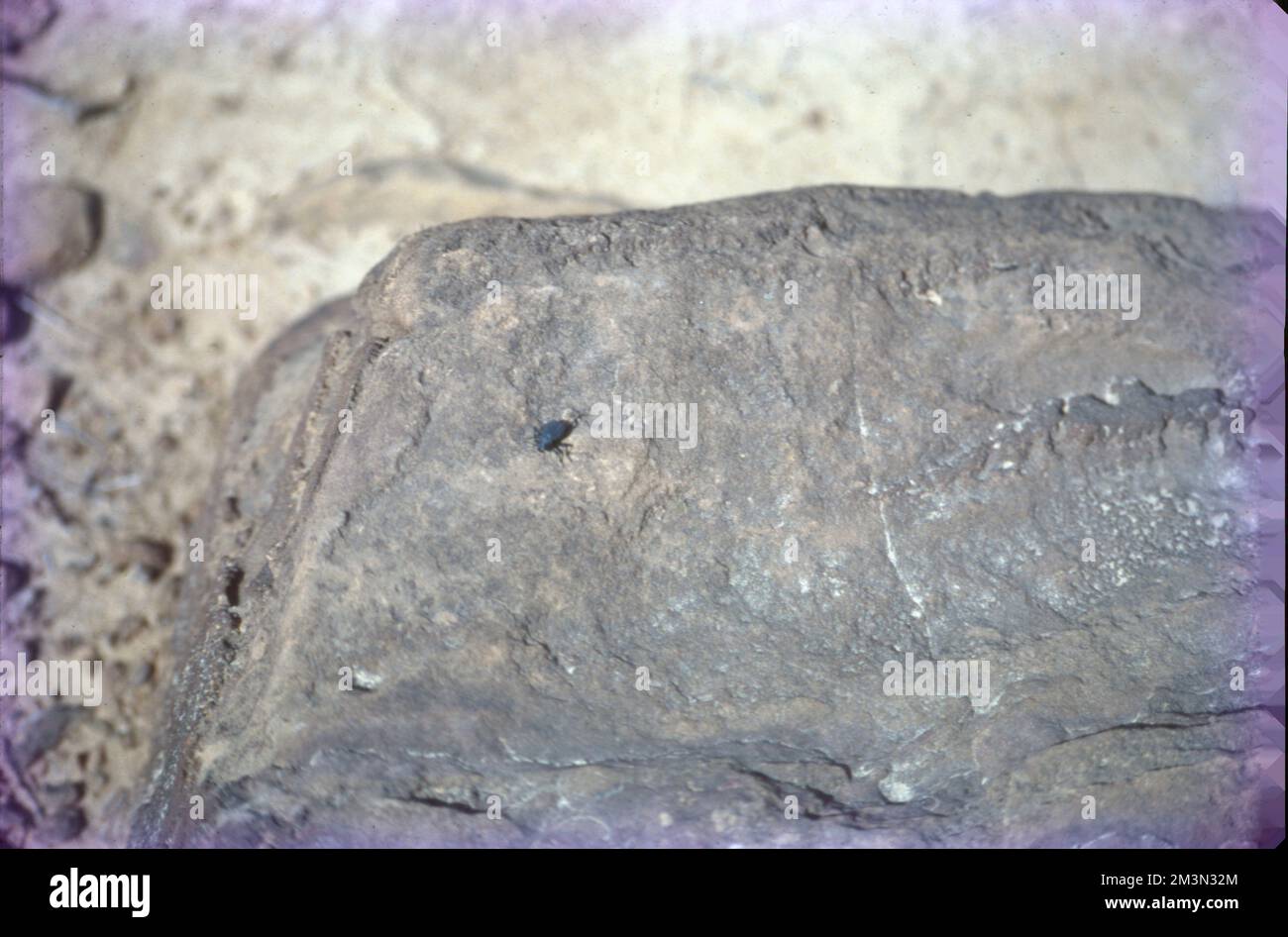 Changed texture due to erosion hi-res stock photography and images - Alamy