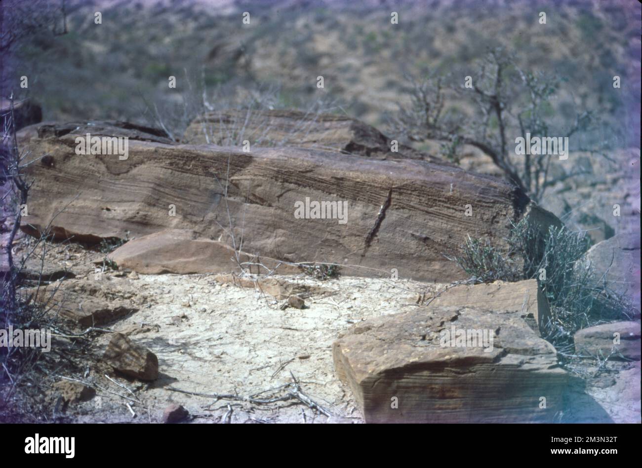 Changed texture due to erosion hi-res stock photography and images - Alamy