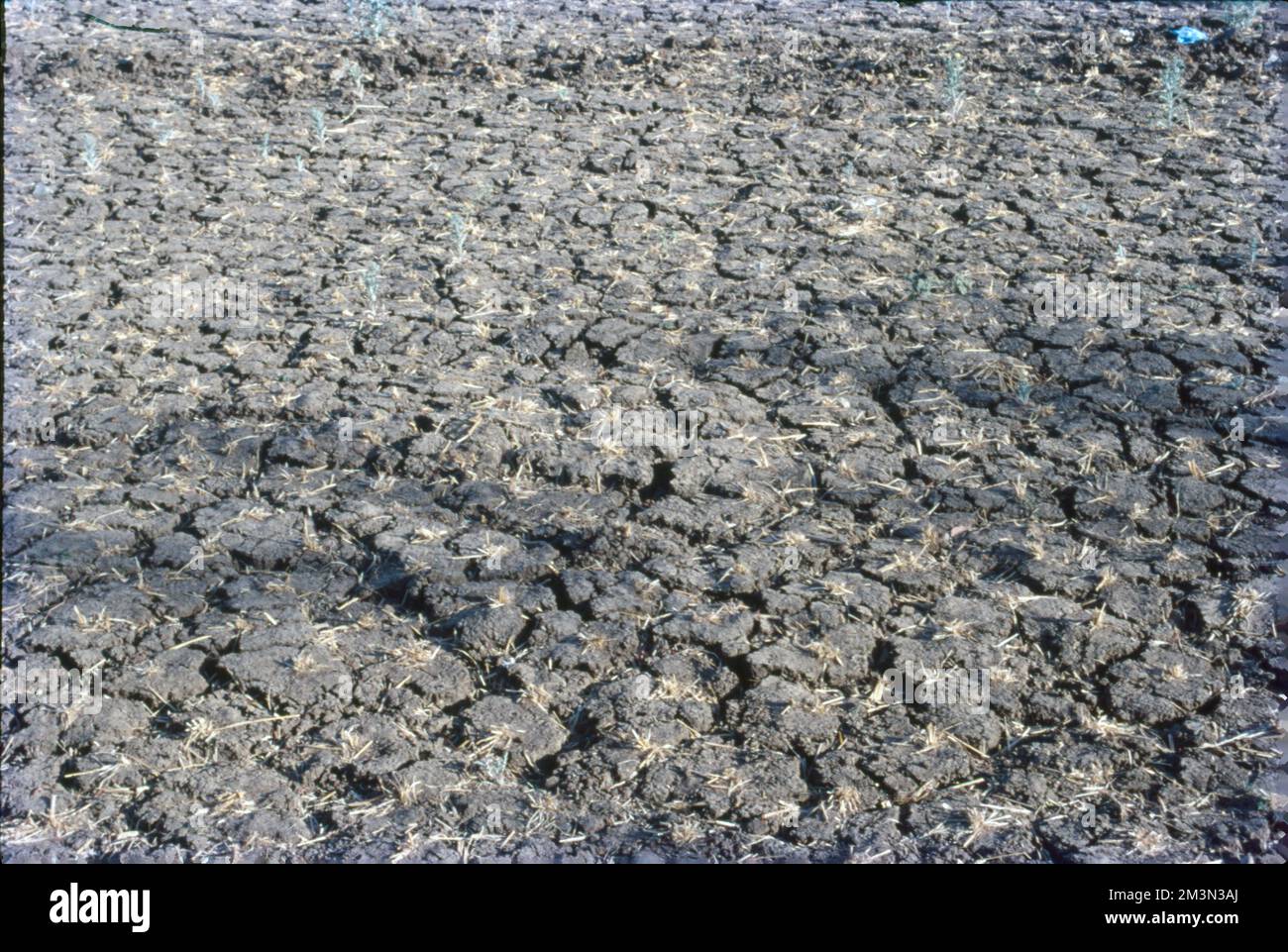 Excessively hot hi-res stock photography and images - Alamy