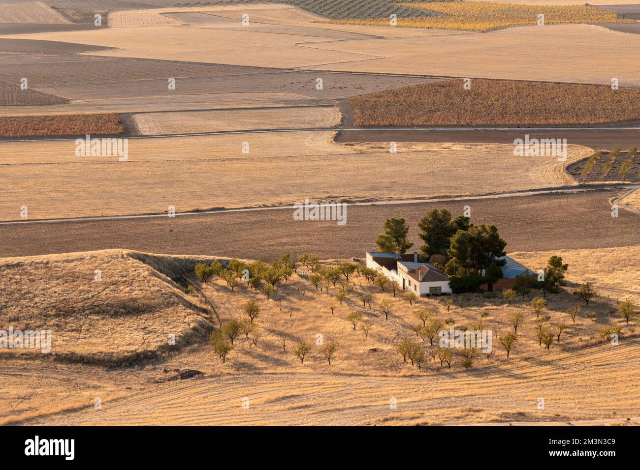 View of the Spanish mesas near Consuegra in the La Mancha region of ...
