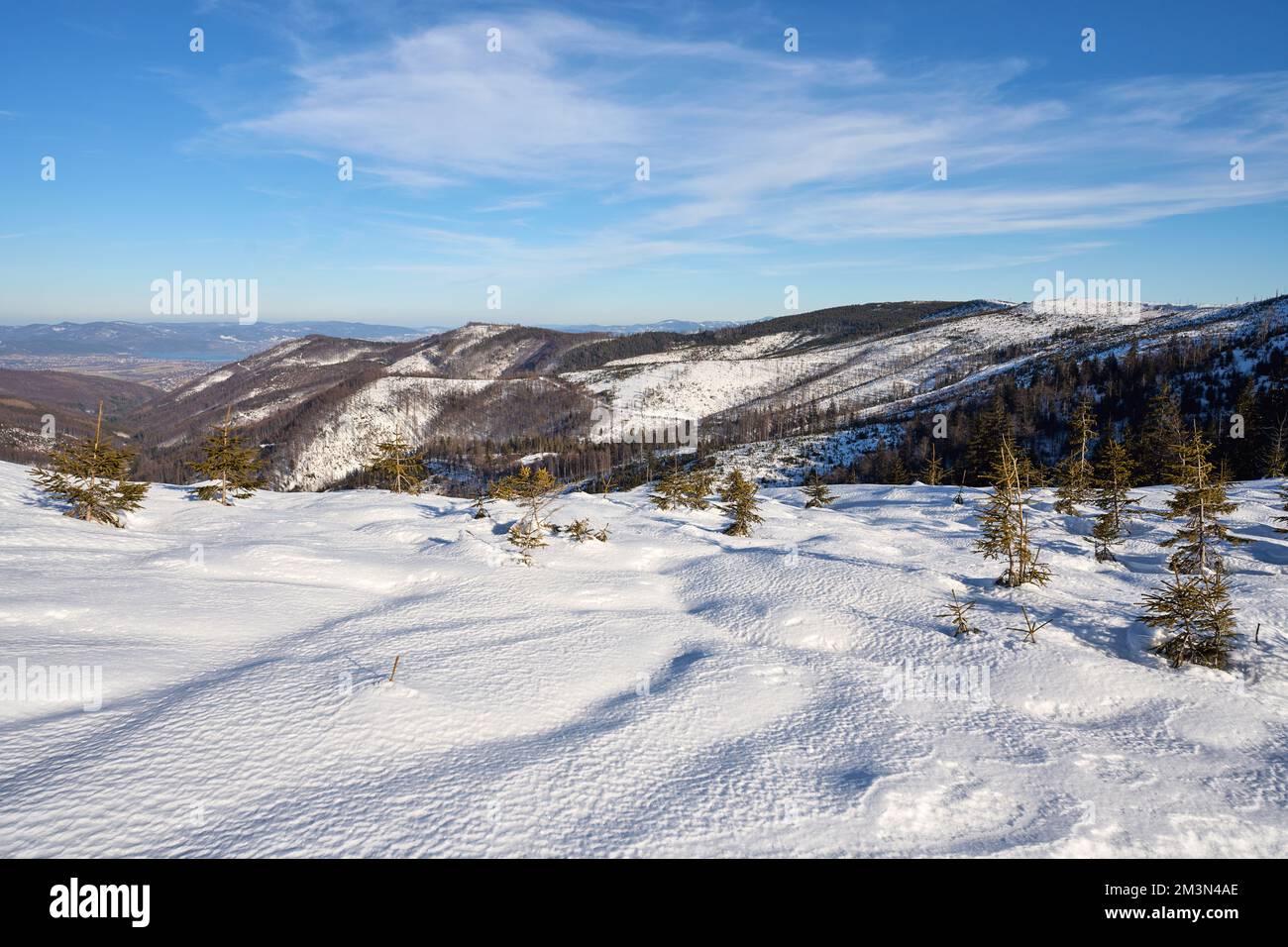 Snowy terrain at Silesian Beskid mountains range on european Bialy ...