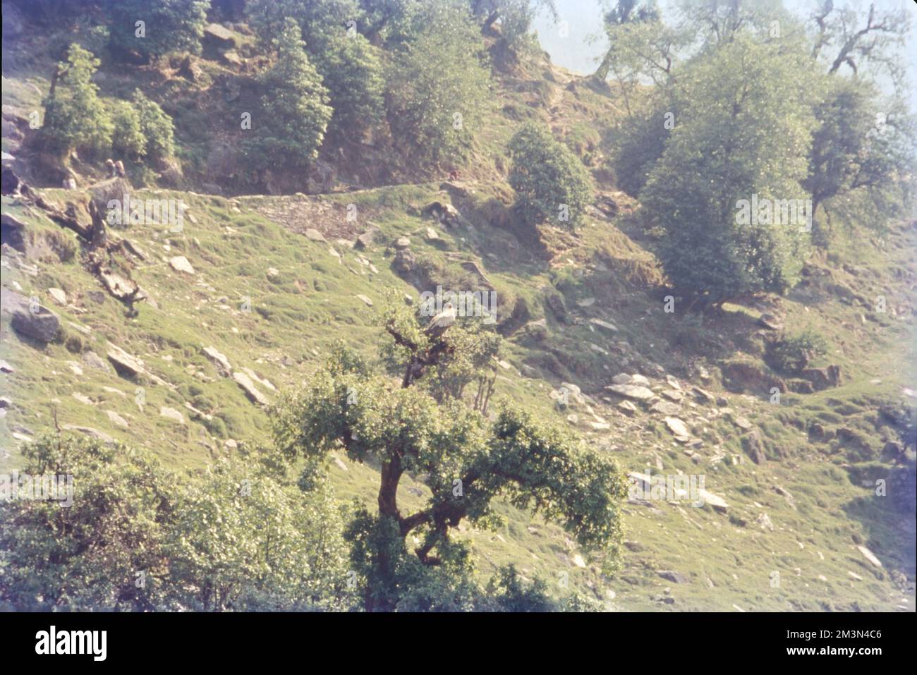 Boulders dislodged hi-res stock photography and images - Alamy