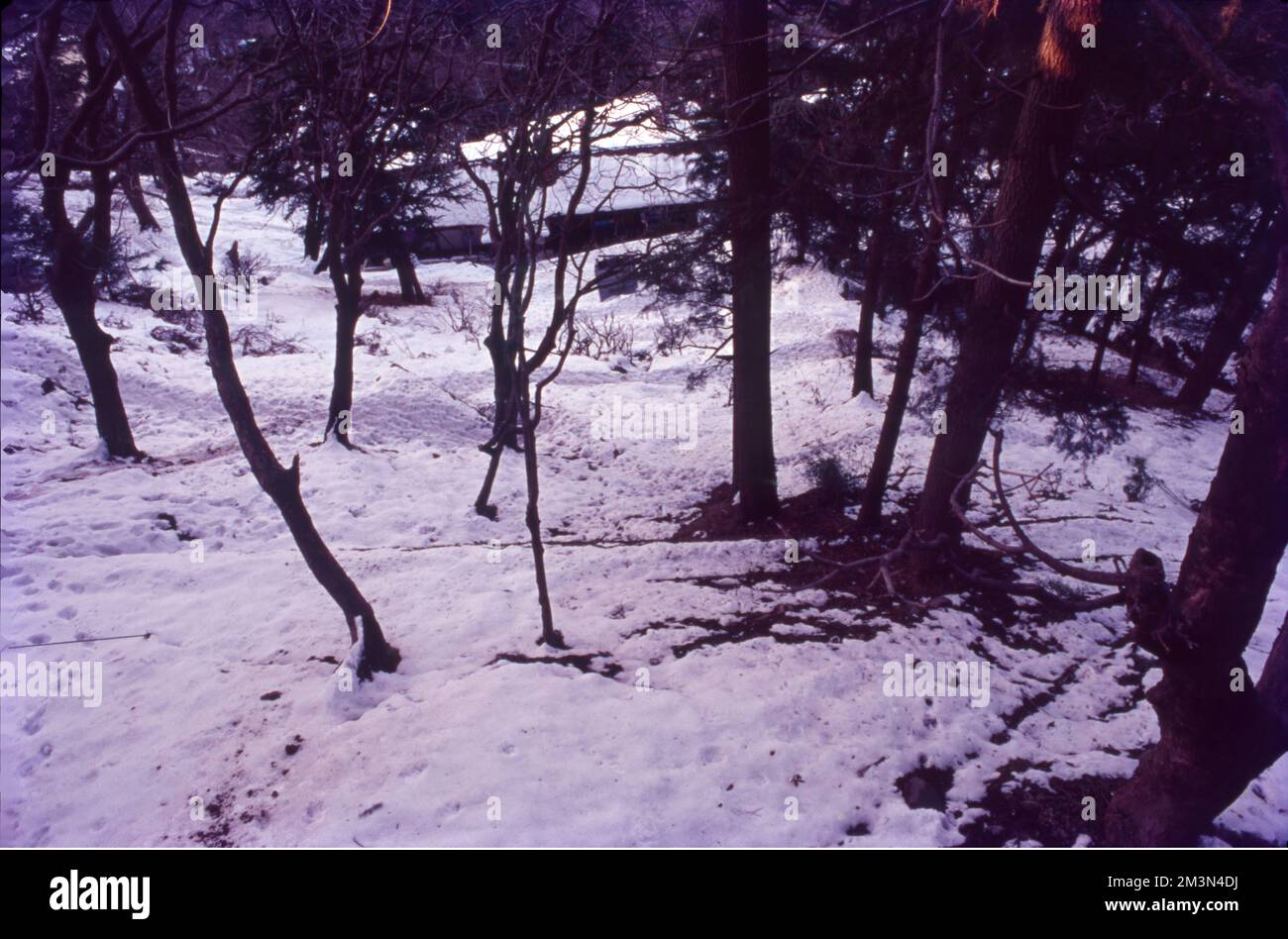 Snow forms when tiny ice crystals in clouds stick together to become ...
