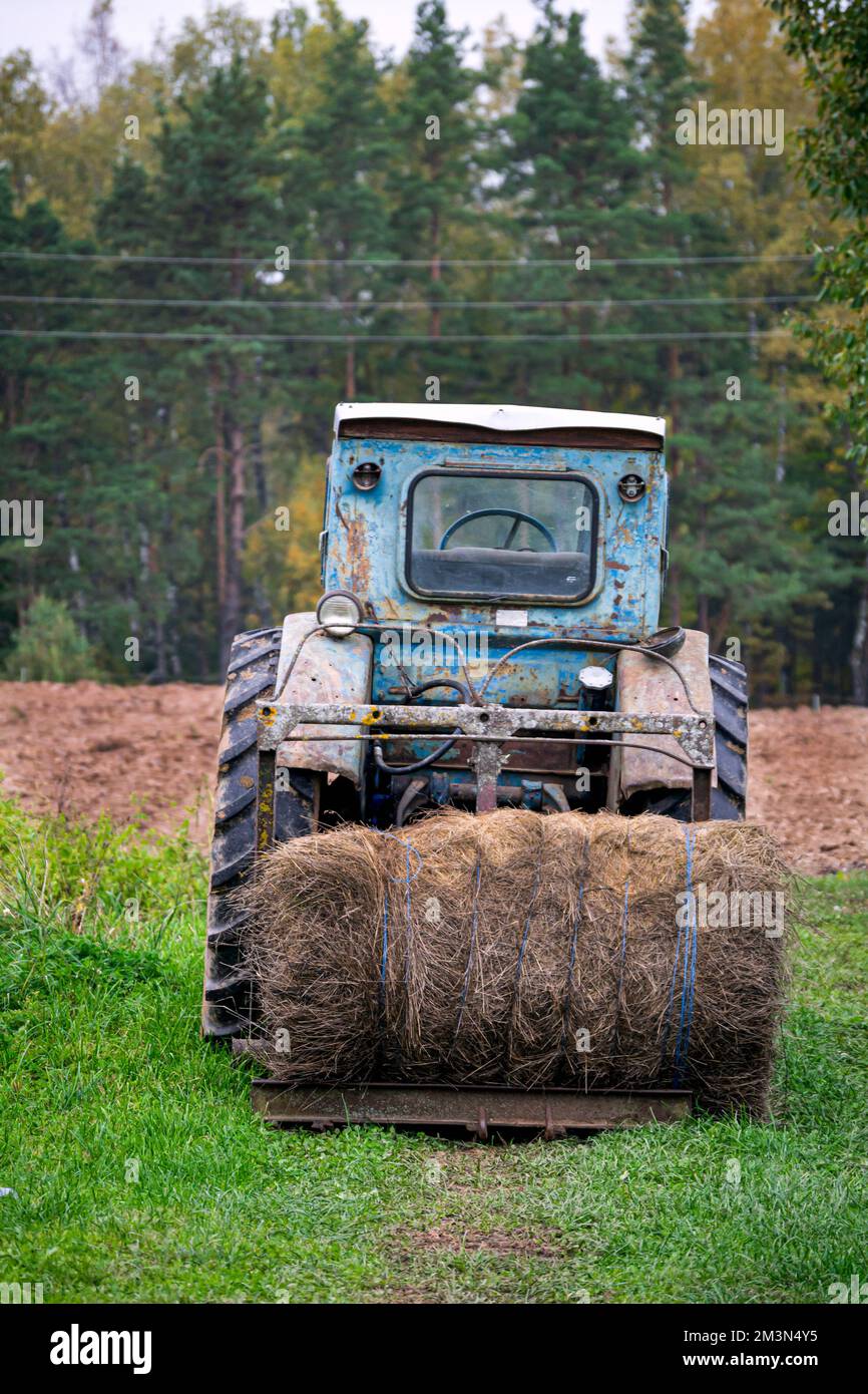 Old vintage blue tractor in the countryside Stock Photo - Alamy