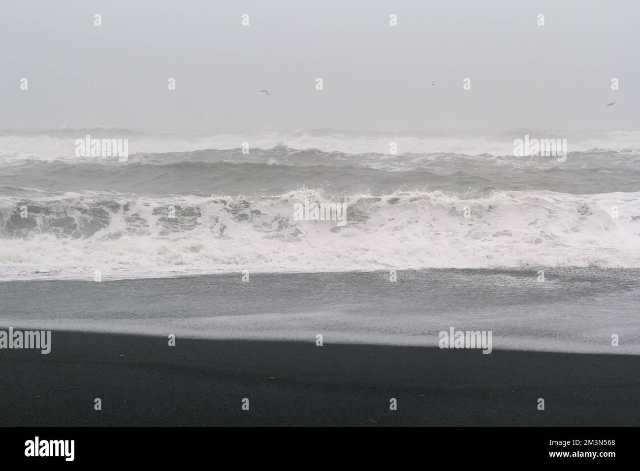 Beach monochrome hi-res stock photography and images - Alamy