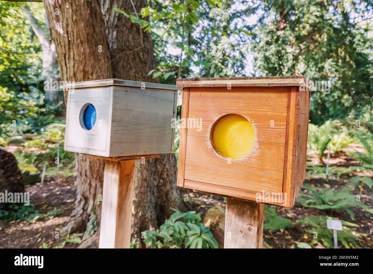 Birdhouses put together by curious children for bird watching. The ...