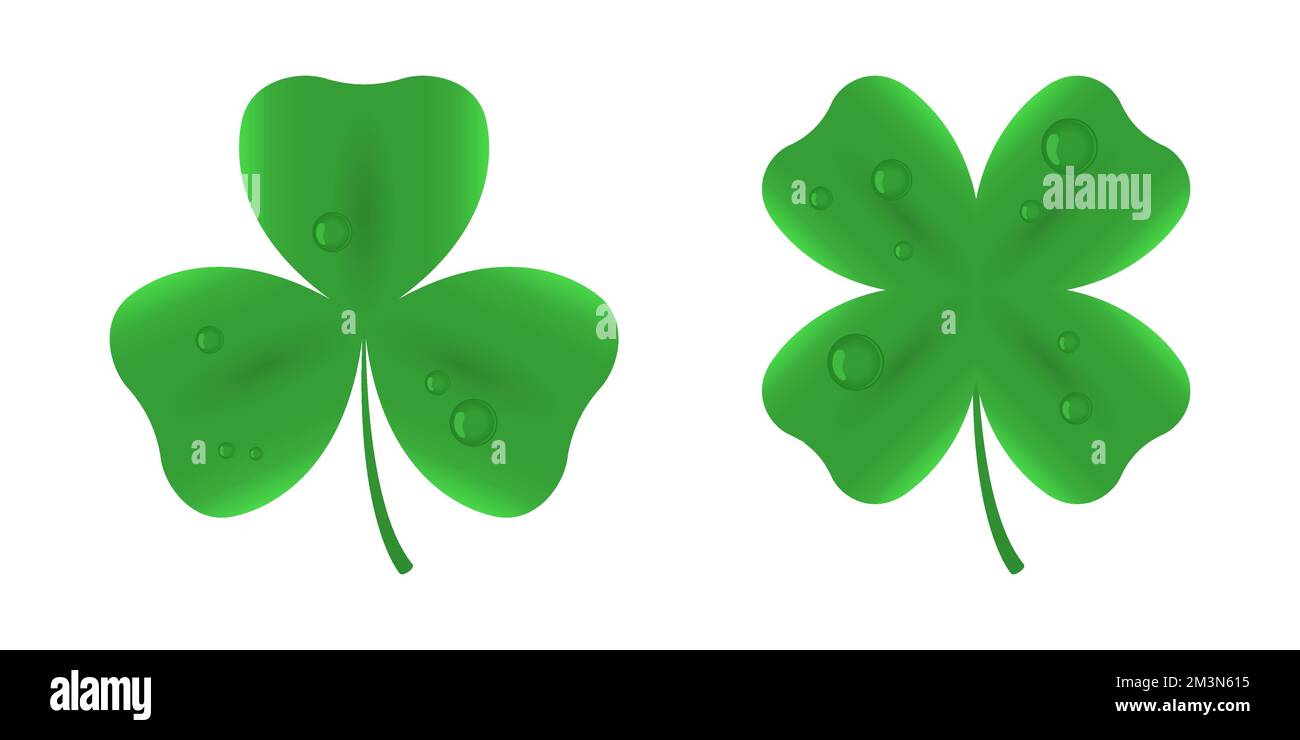Four leaf clover and shamrock with water drops. Vector Stock Vector ...