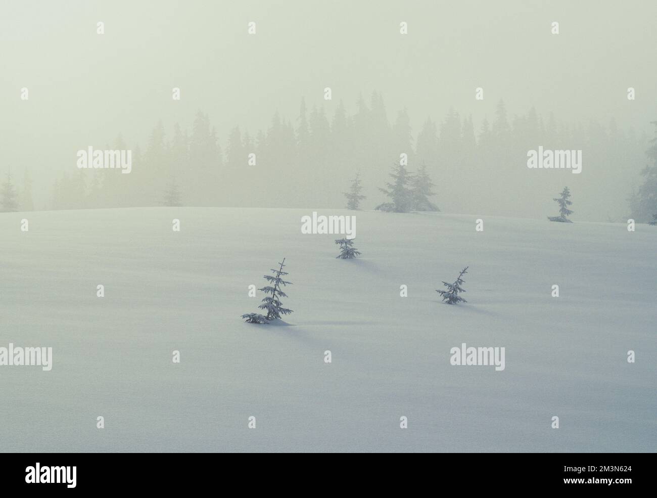Snowy hill covered with advection fog landscape photo Stock Photo - Alamy