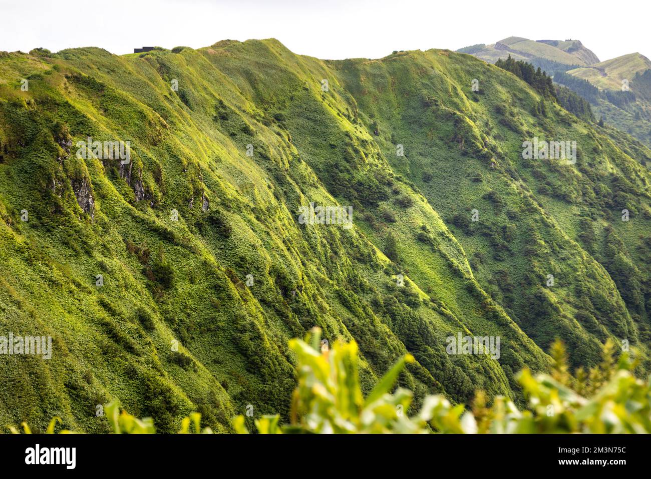 Lush green crater wall of the caldera at Sete Cidades, Azores Stock ...