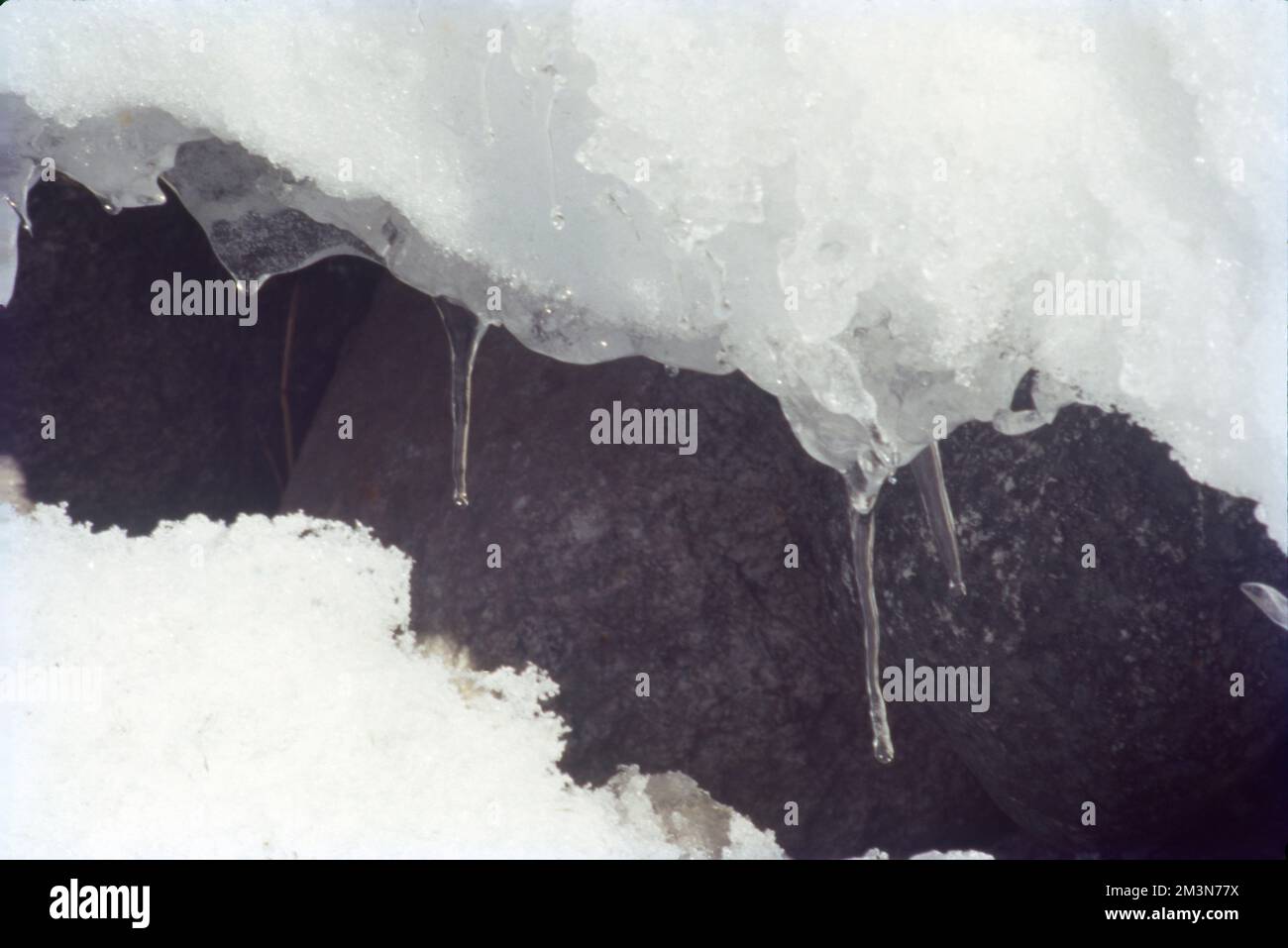 Snow forms when tiny ice crystals in clouds stick together to become ...