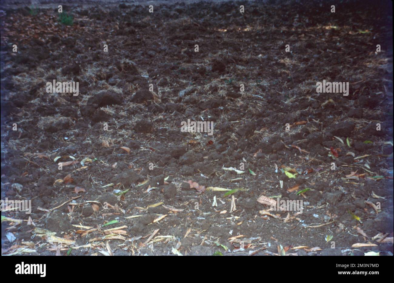 Soil, also commonly referred to as earth or dirt, is a mixture of ...