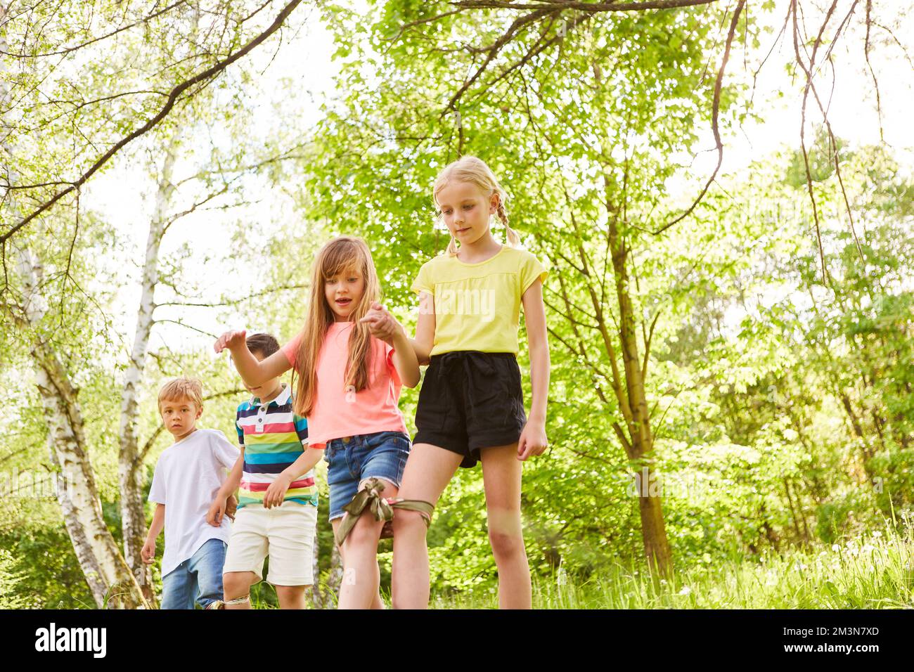 Multiracial male and female friends playing three legged race ...