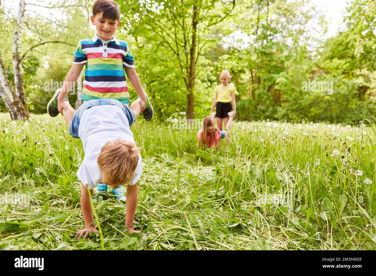 Boys competing girls during wheelbarrow race amidst grass in garden ...