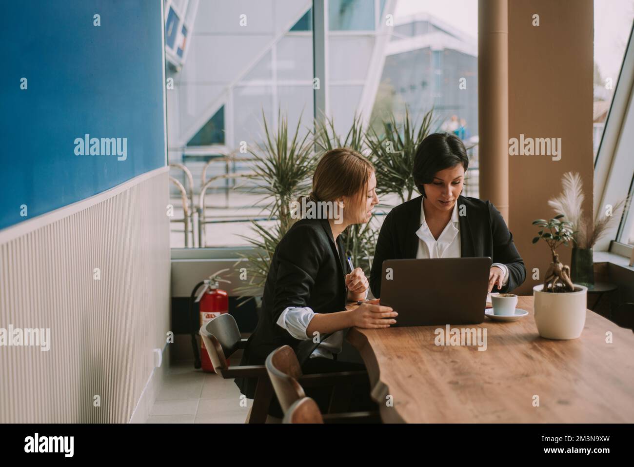 Beautiful business women working while sitting at the big table at the ...