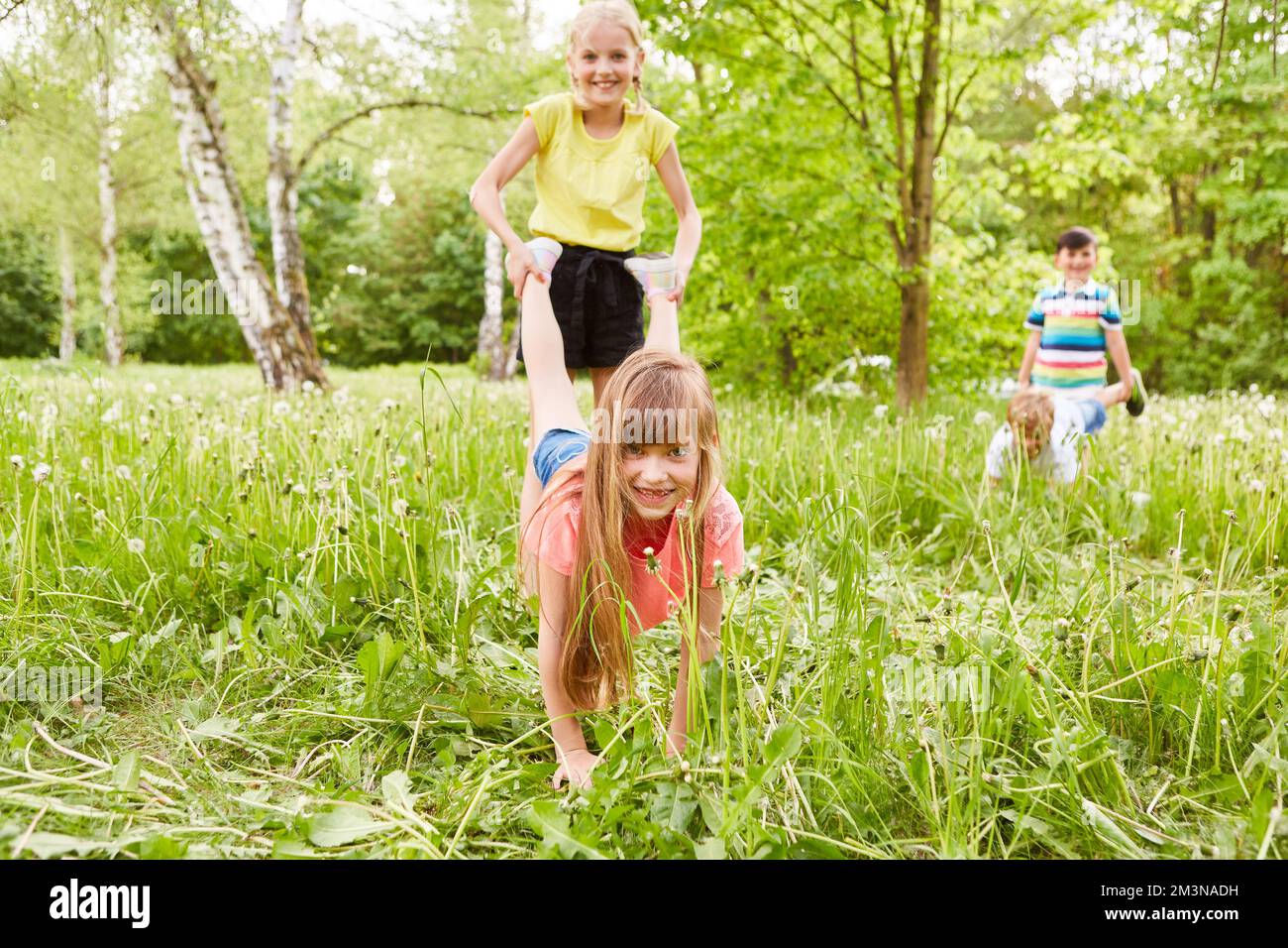 Multiracial male and female friends playing wheelbarrow race ...