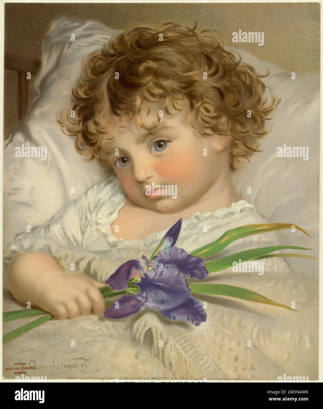 Prattling Primrose , Girls, Flowers. Louis Prang & Company Collection ...