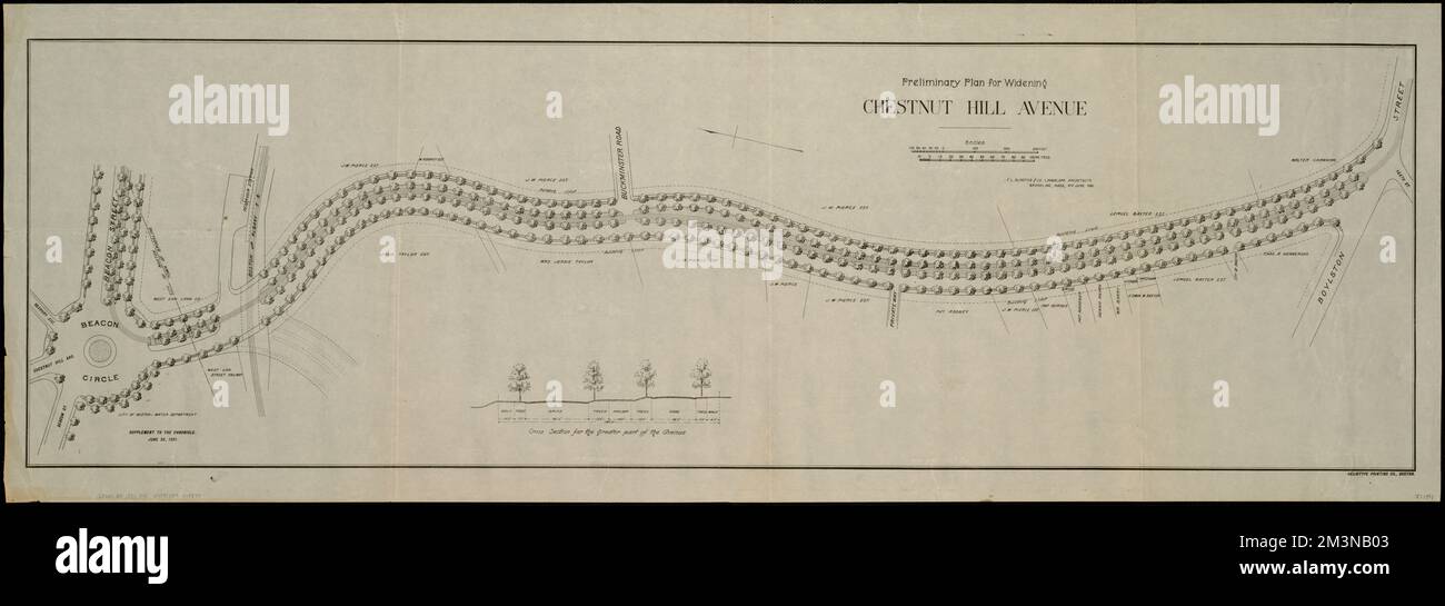 Preliminary plan for widening Chesnut Hill Avenue , Brookline Mass ...