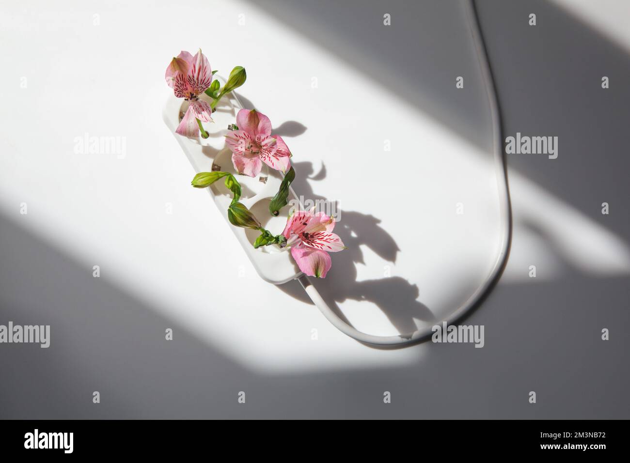 Renewable energy, white power plug socket and pink flower. Climate ...