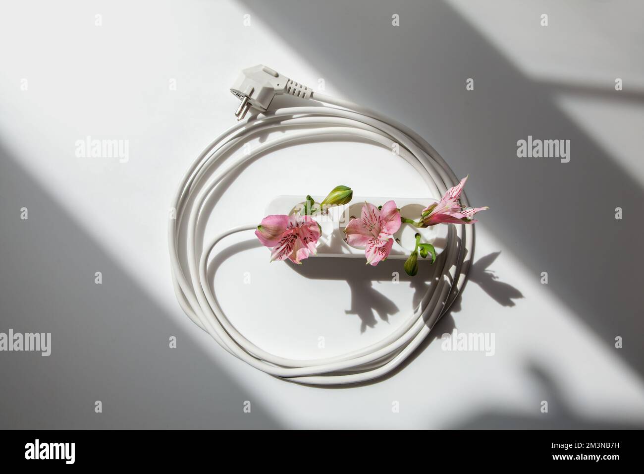 Bio energy, white power extension cord socket and pink flower. Climate ...