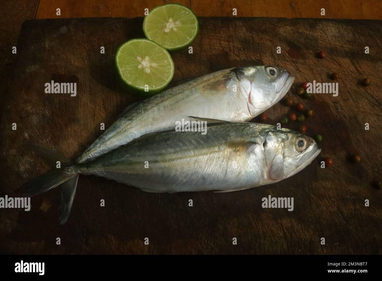 Indian makerel fish hi-res stock photography and images - Alamy