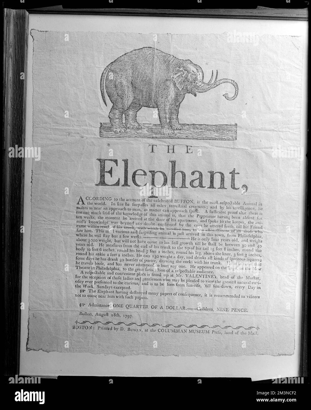Printed, broadside, advertisement of first elephant exhibited in ...