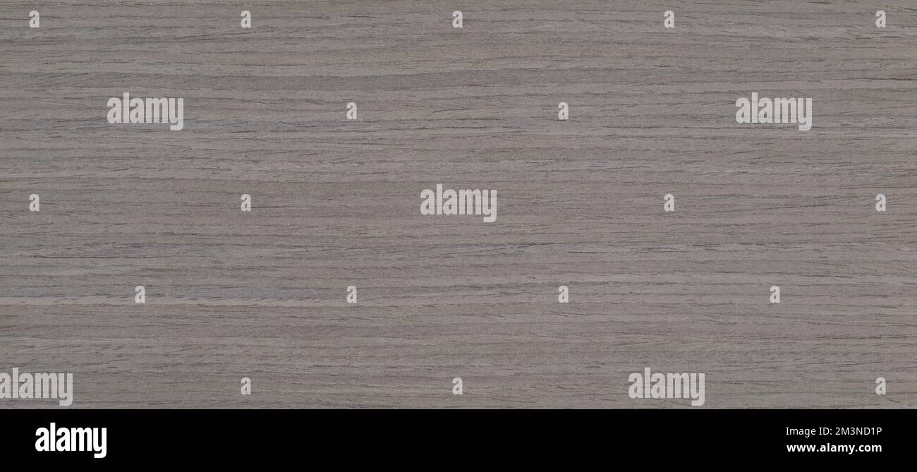 Gray oak texture hi-res stock photography and images - Alamy