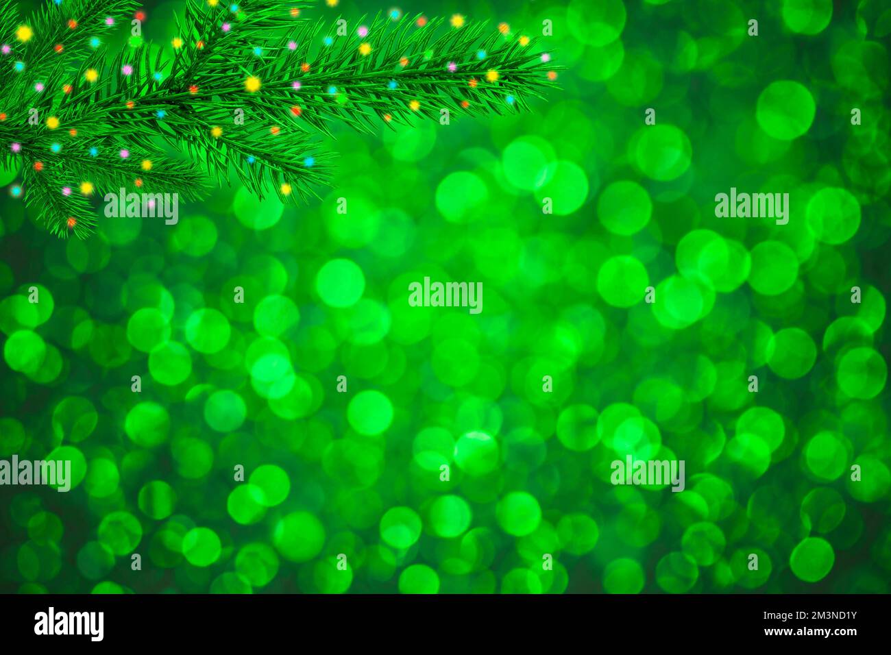 Green pine branch over green Christmas bokeh background Stock Photo - Alamy